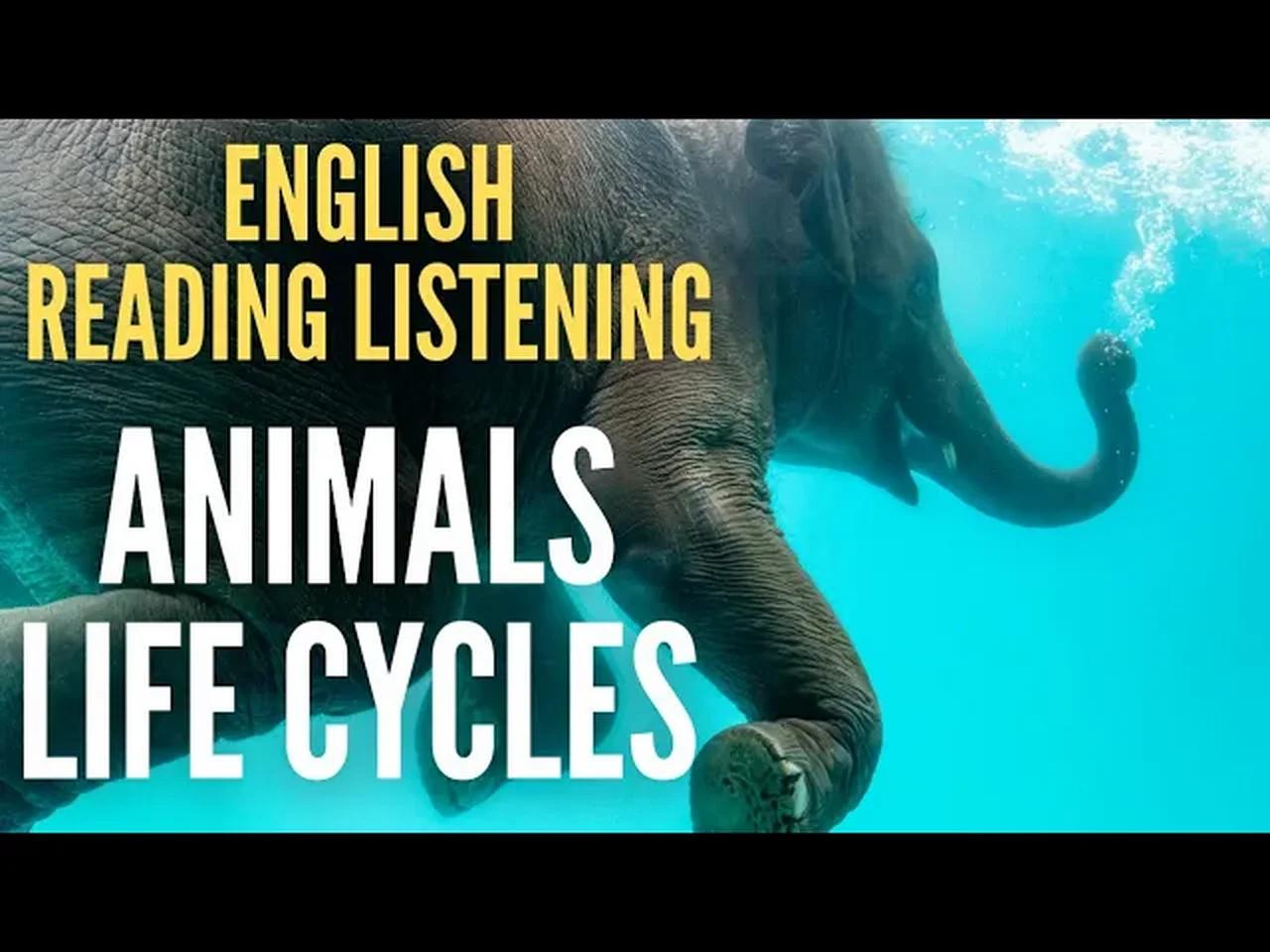 Animals life cycles ★ Learn English Through Story