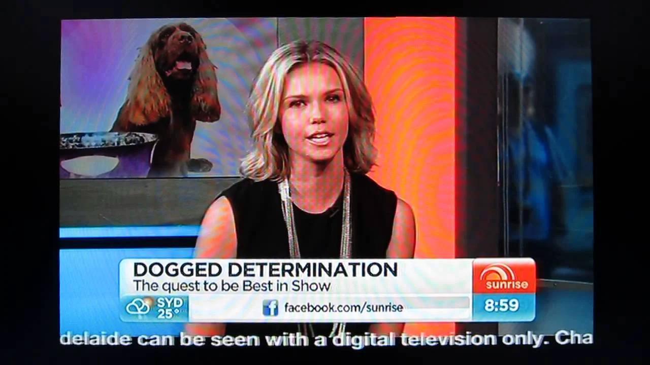 SAS7 Adelaide Channel 7 Analogue TV Switches Off