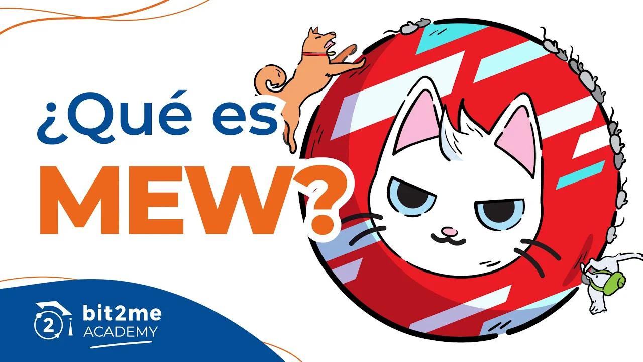 😺 Llega la MEMECOIN de GATOS Definitiva - ¿Qué es MEW (Cat in a dogs World)? - 🎓 Bit2Me Academy