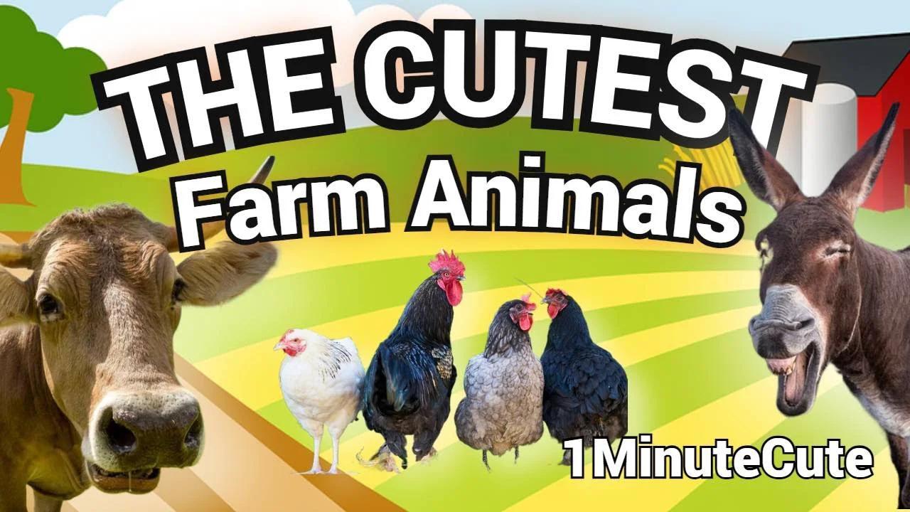 The Cutest Farm Animals!!!