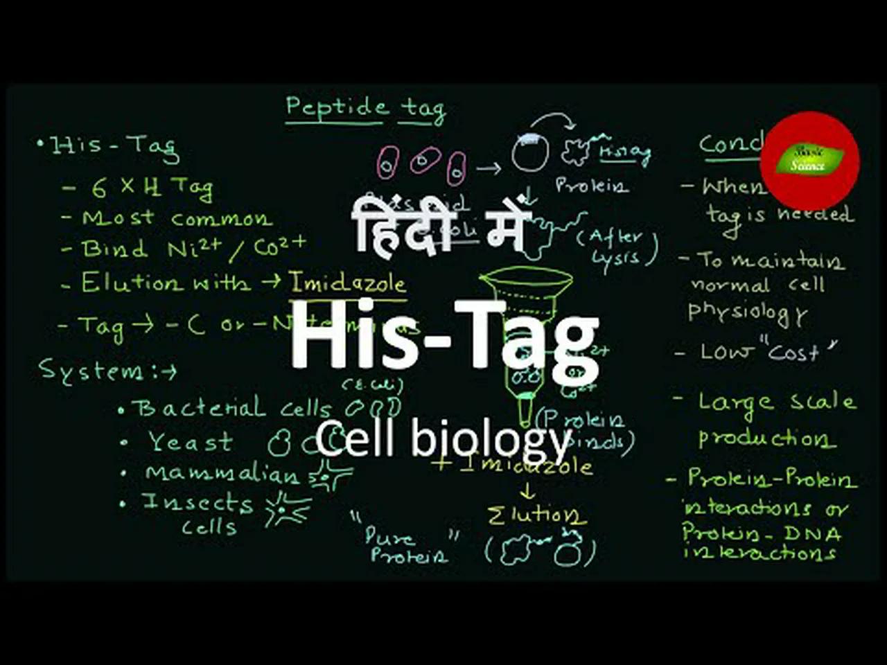 Peptide tag in Hindi | Protein tag | His tag | Cell Biology | Basic ...