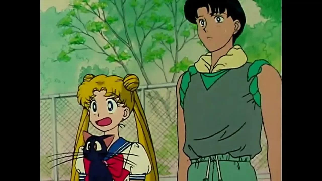 Mew Mew Power × Sailor Moon R Ep 61 VIZ Dub Mamoru says hi to Renee ...