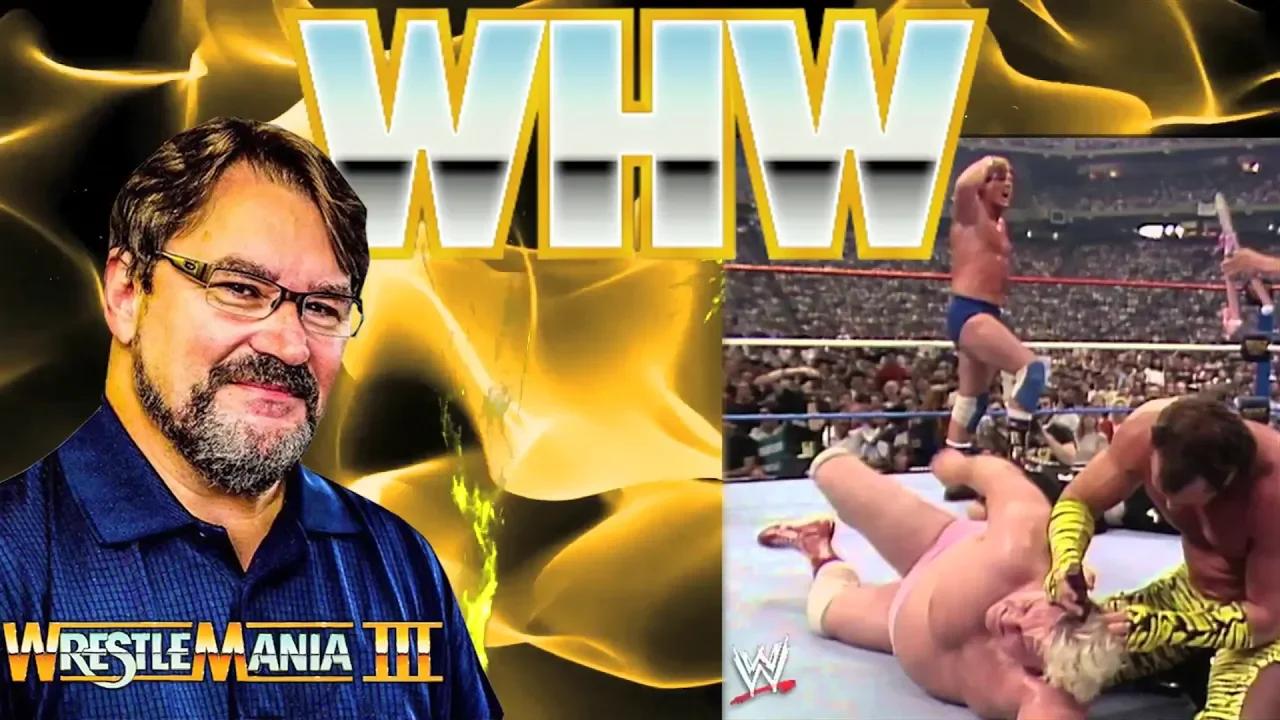 Tony Schiavone calls "Rowdy" Roddy Piper vs Adrian Adonis