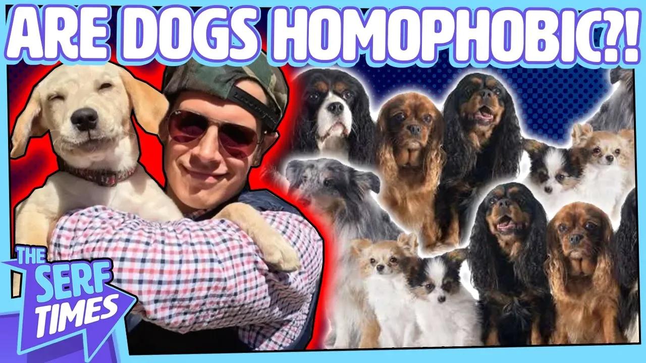 Milo Yiannopoulos claims DOGS like him better now that he is STRAIGHT ...