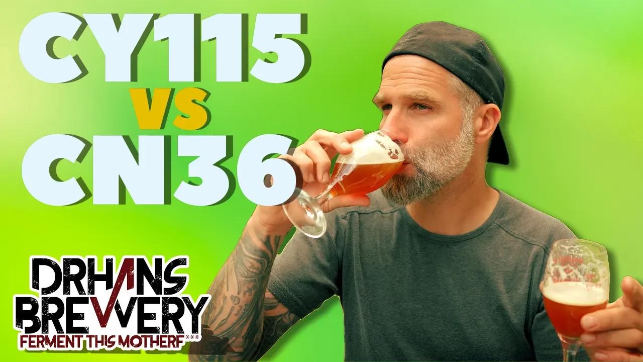 Brewing Yeasts Compared: Angel Yeast Cn36 Vs Cy115