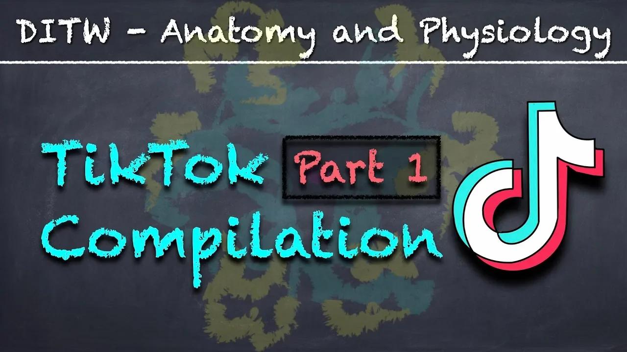 Tiktok Compilation Ditw Anatomyphysiology