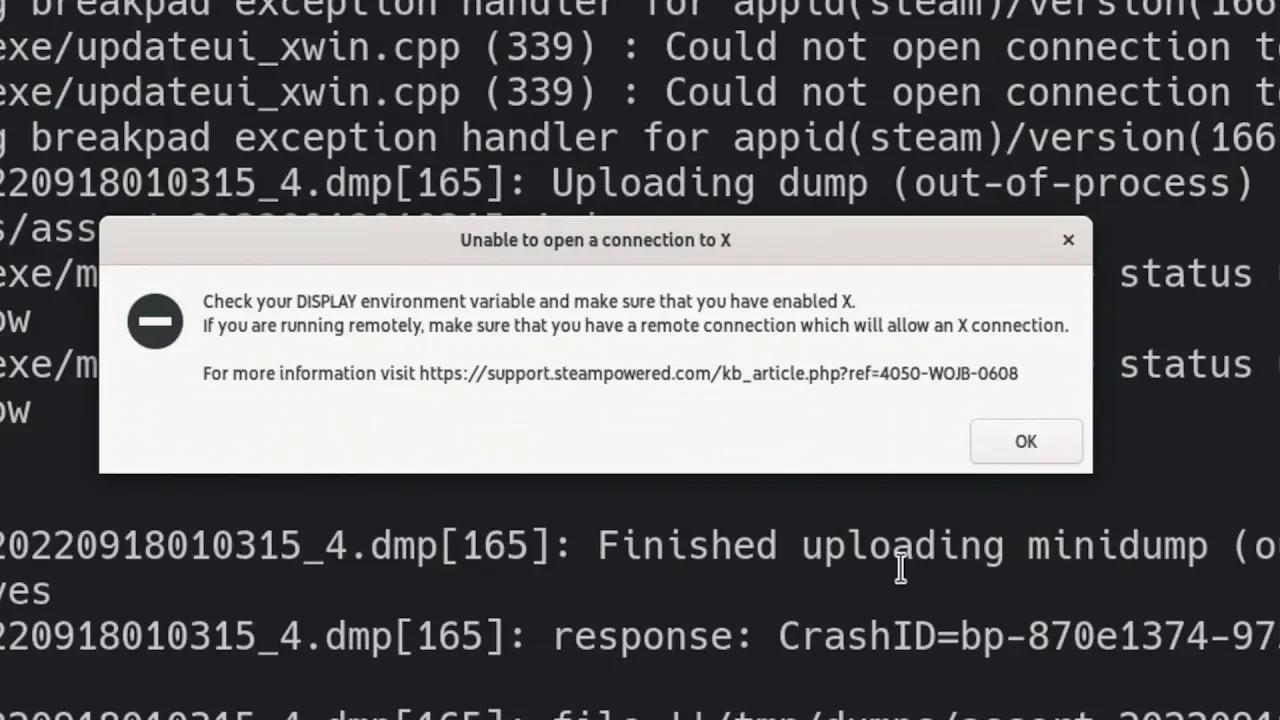 Fixing the "Unable to open a connection to X" Flatpak Steam issue on ...