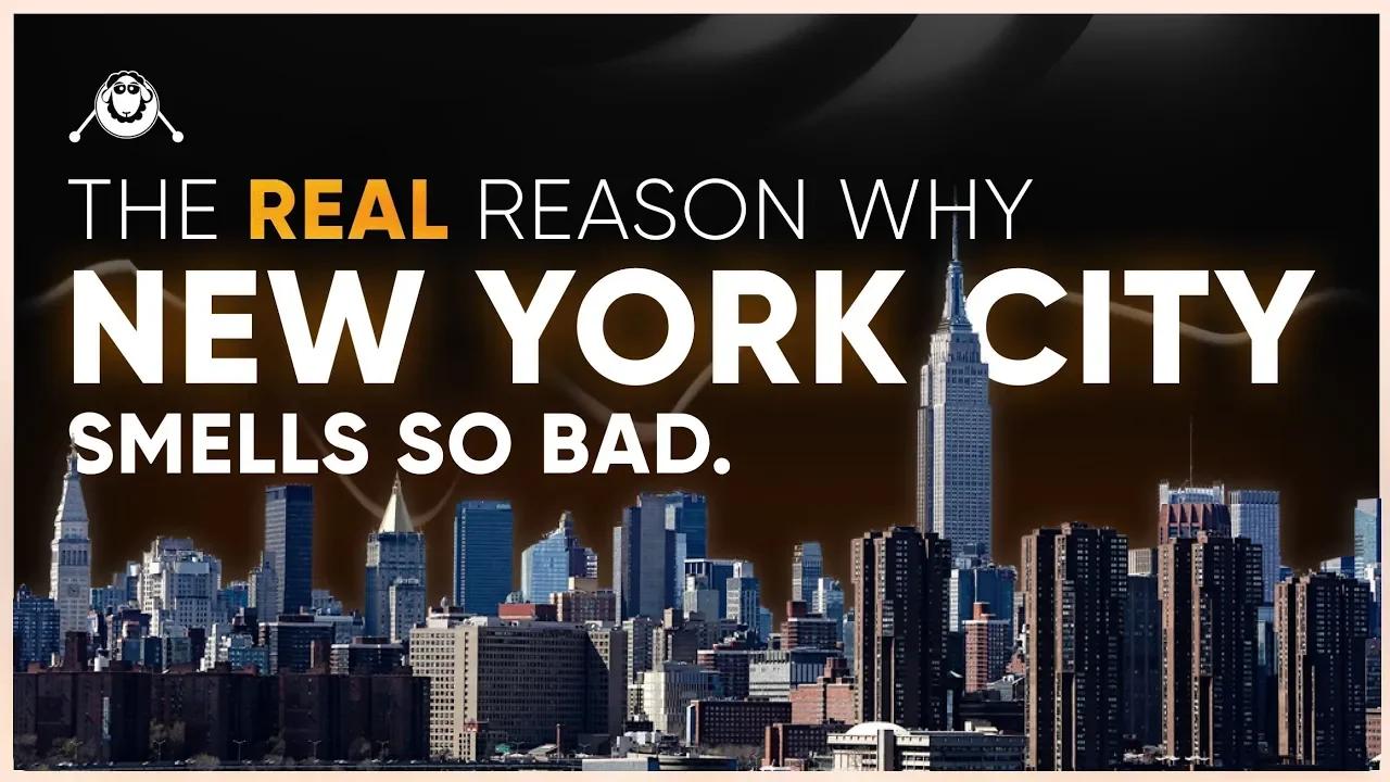 Why urban centers smell like piss