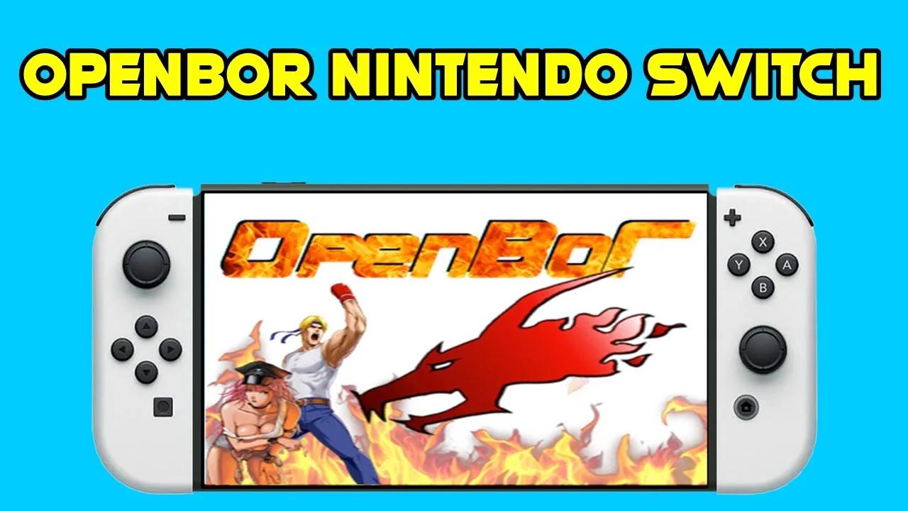 Nintendo Switch - Instalando OpenBor
