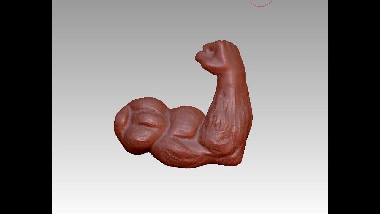 Muscle Arm Hand During Sculpting Work With Zbrush