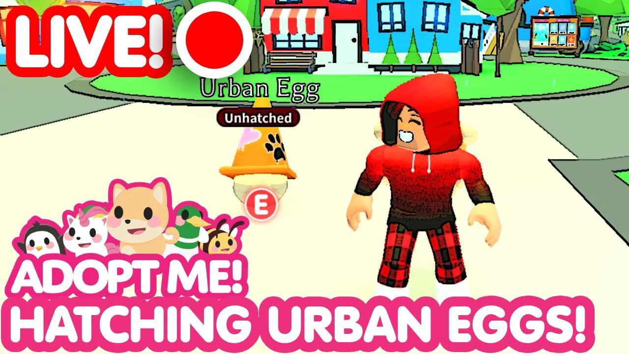 Hatching Urban Eggs in Adopt Me! (at 2am!)