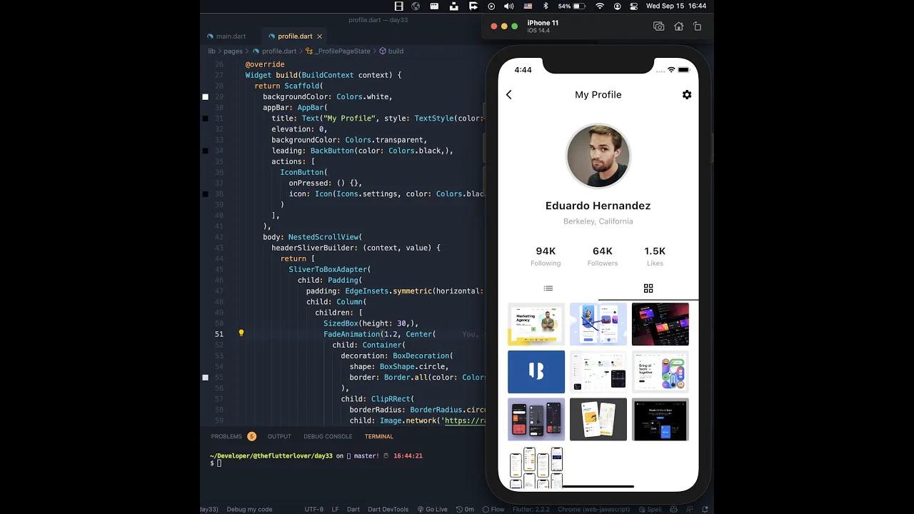 Flutter Profile Page with ListView and GridView Tab #shorts