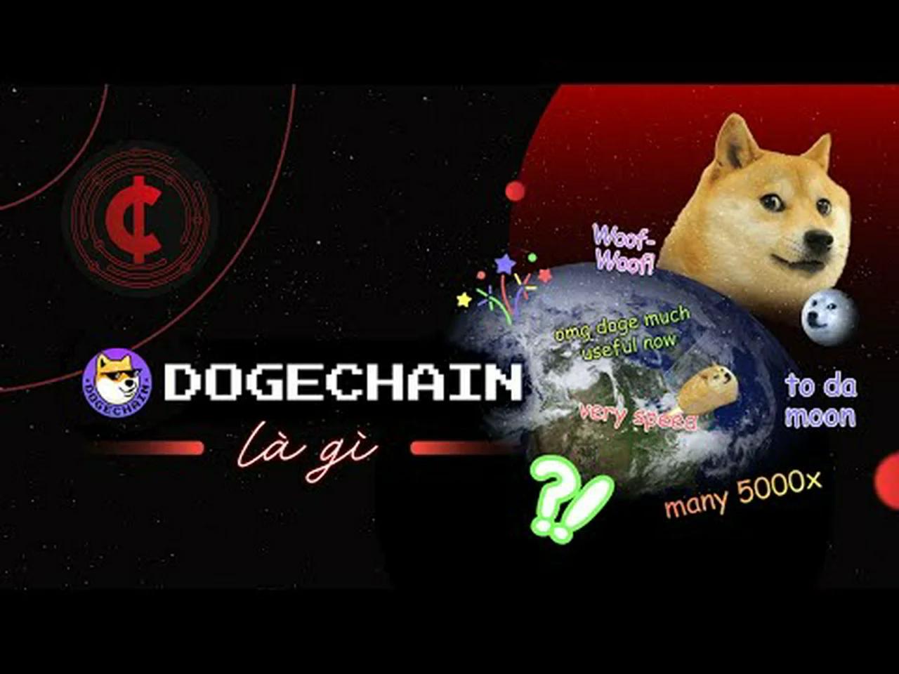 Tout savoir sur DOGECOIN et la DOGECHAIN, airdrop token L2 Dogechain??