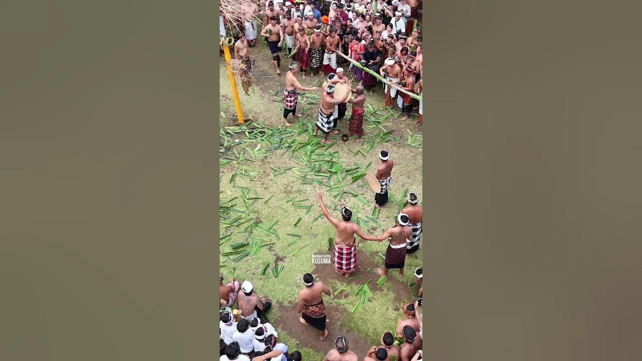 Perang Pandan Tenganan Dauh Tukad #PerangPandan #MekareKare # ...