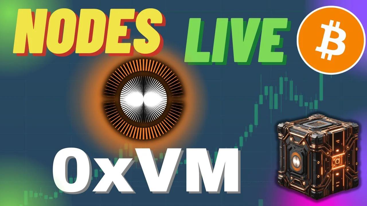 🚀Vorstellung: 0xVM Validation Node