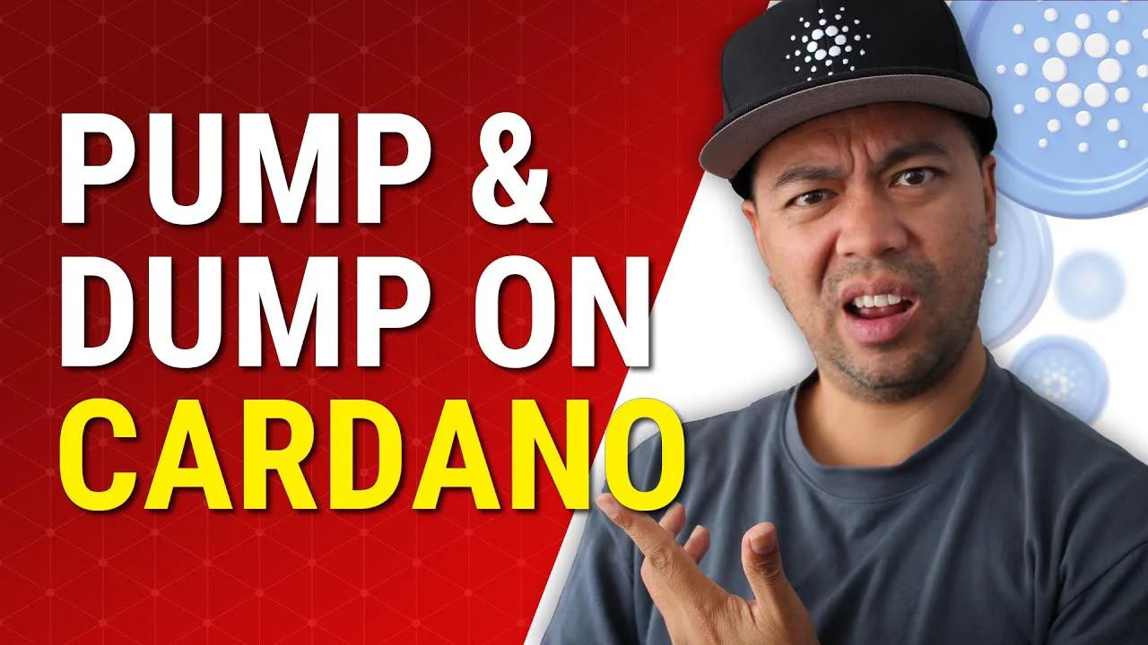 Scammer Making Bank Off Pump & Dump on Snek Dot Fun