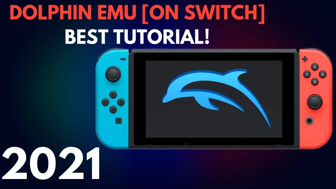 Dolphin Emu (Wii) On Nintendo Switch TUTORIAL [2021]