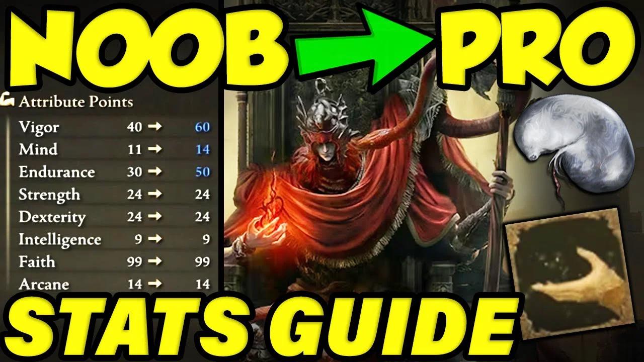BEST ELDEN RING STATS GUIDE FOR SHADOW OF THE ERDTREE DLC! Noob To Pro ...