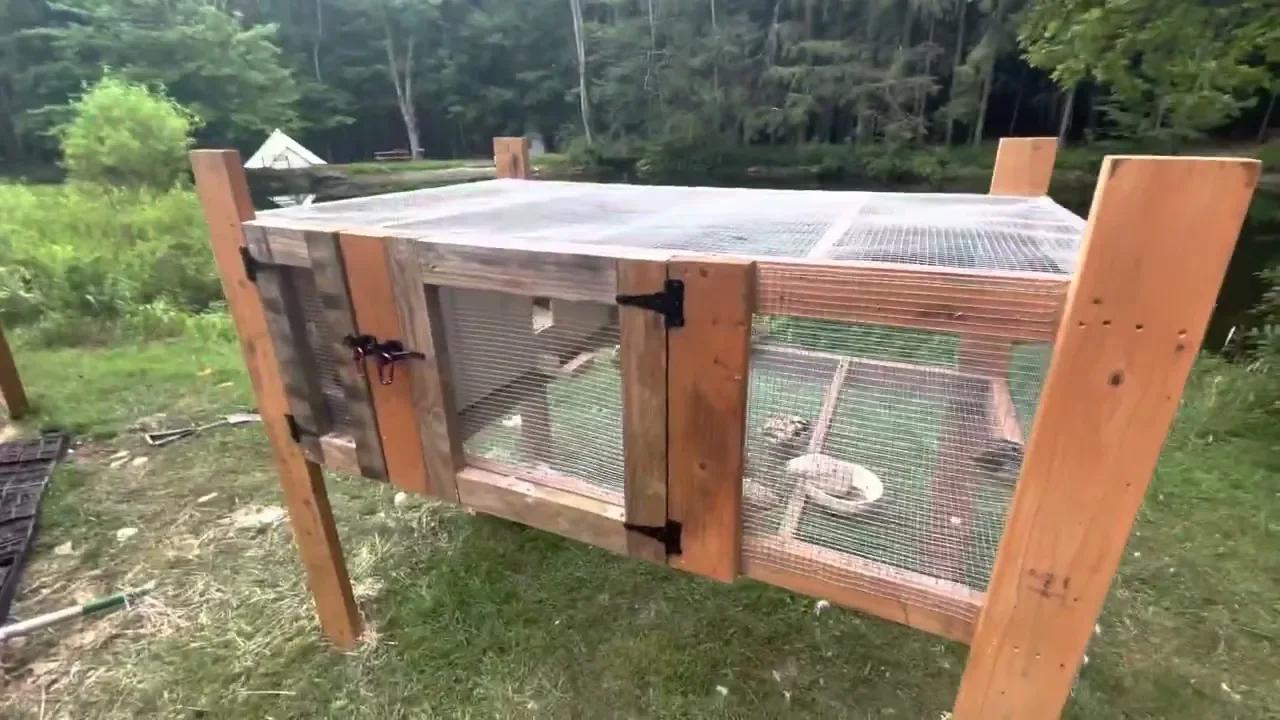 How to Make a Quail Coop | Easy Quail Cage Using Pallets