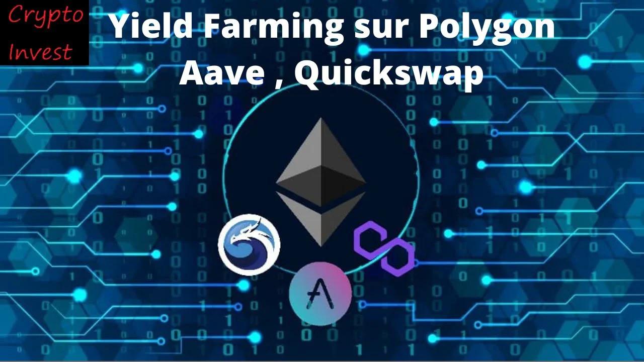 Operation Yield farming sur Polygon (Matic) : Aave , Quickswap DeFi TUTO Matic Bridge