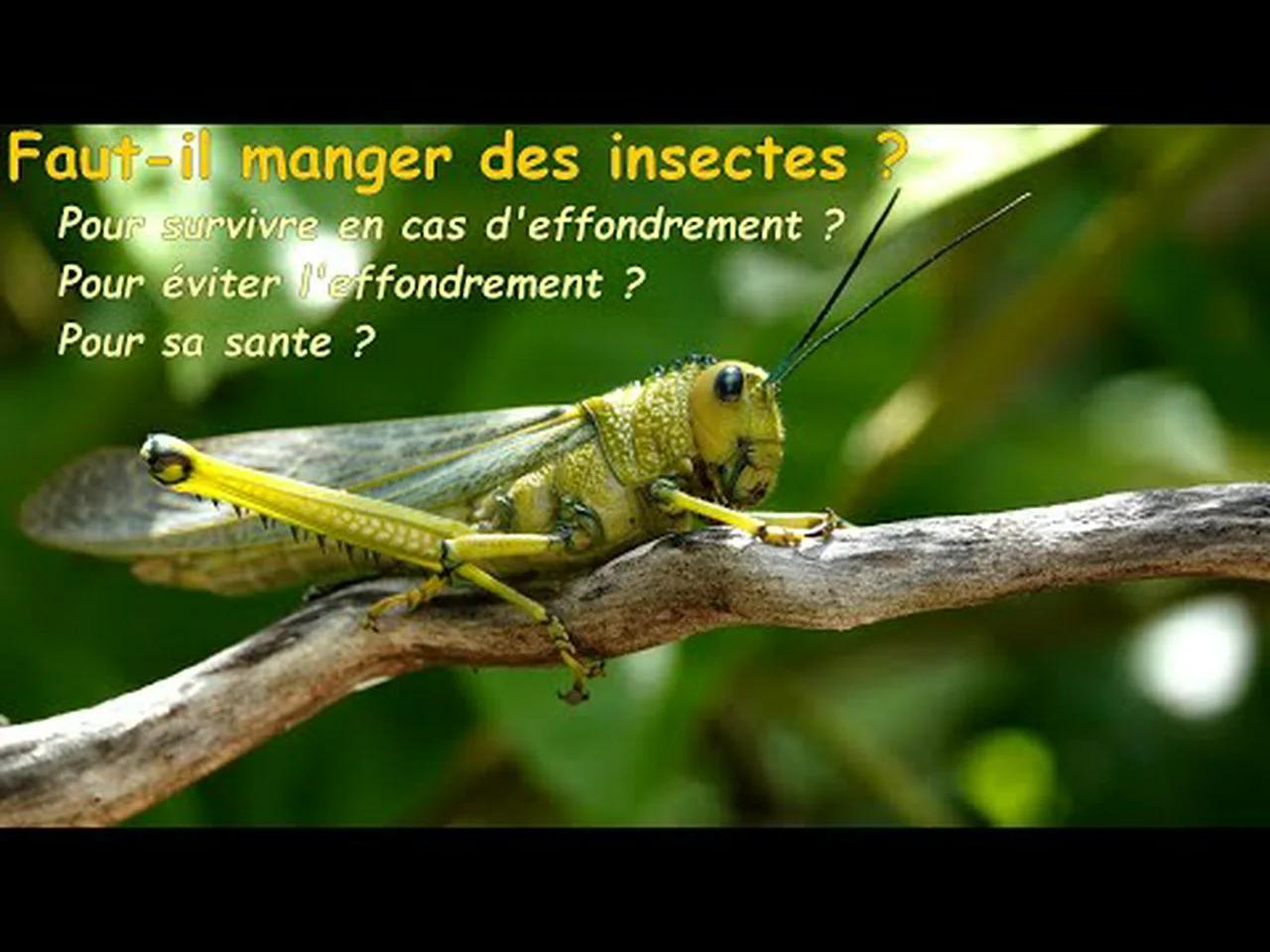 Faut-il manger des insectes pour sauver la biosphère ? Pour la survie ...