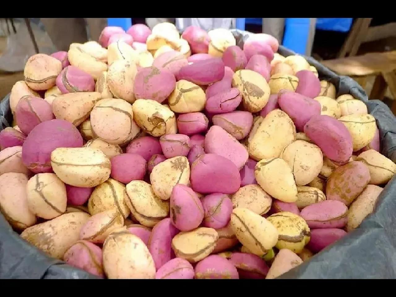 VOICI COMMENT UTILISER LES KOLAS GARCINIA