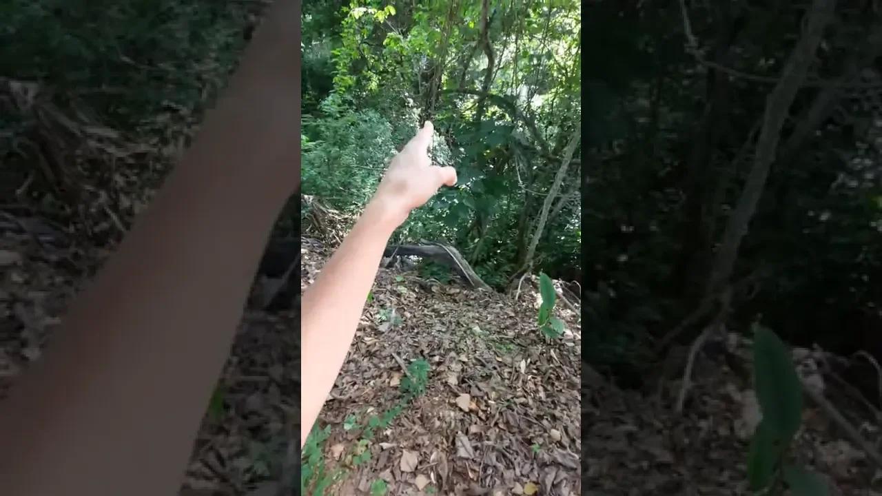 El Rio Camino Hacia La Verdad Parte 1