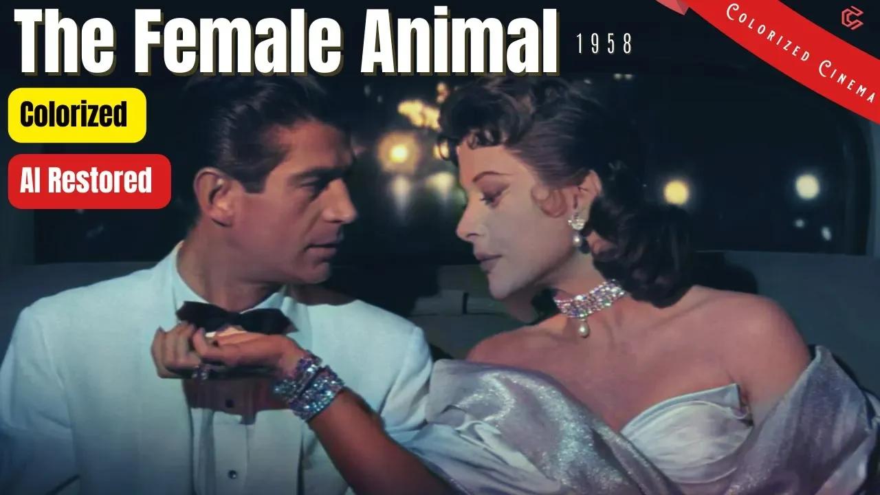 The Female Animal (1958) | Colorized | First 20 Mins Preview | Hedy ...