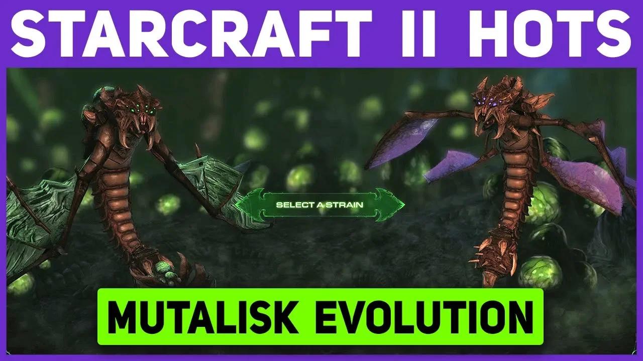 Starcraft 2 HOTS - Mutalisk Evolution - Brutal Difficulty - 2K