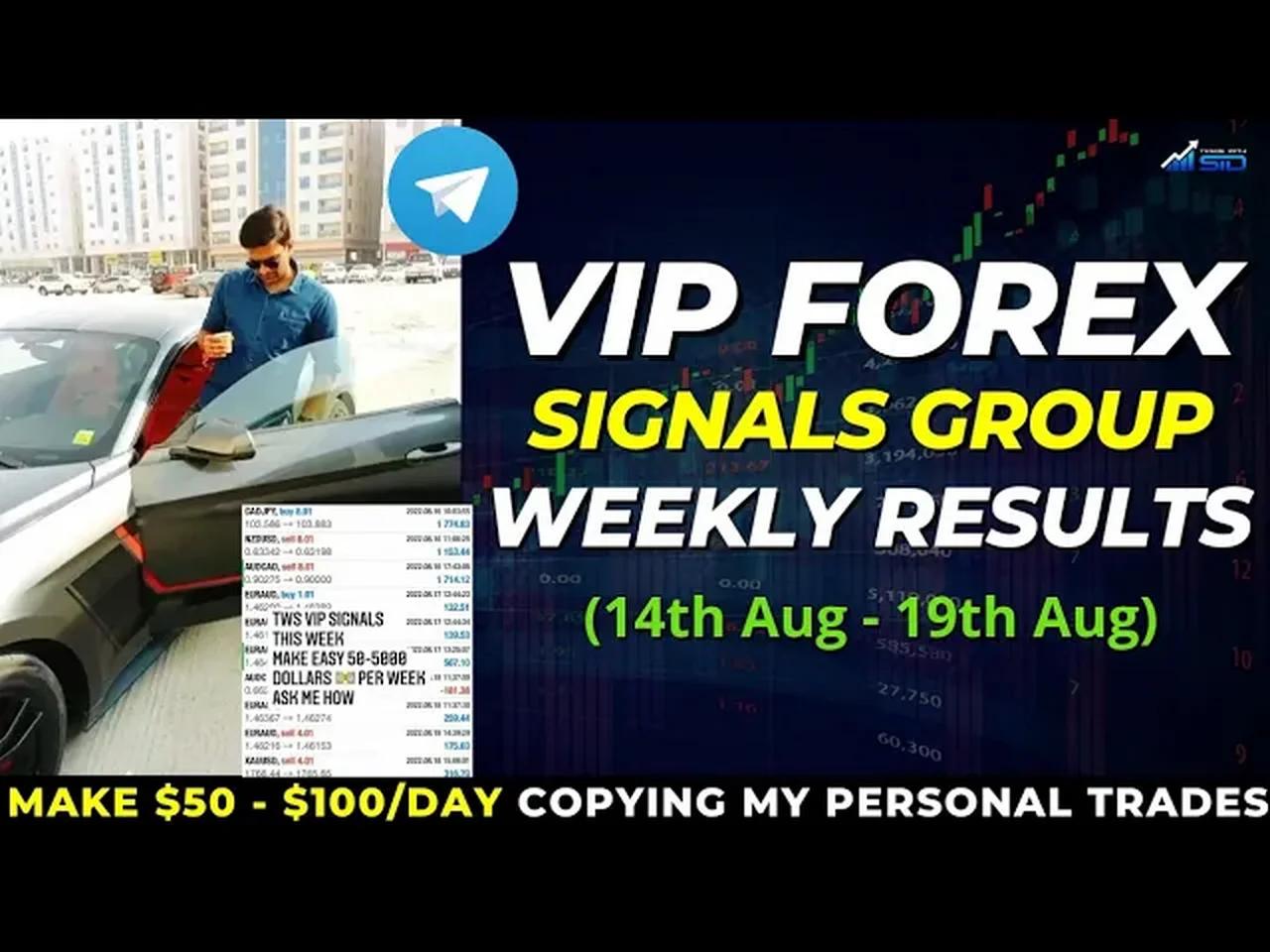 Best Forex Signals Provider Telegram 2022 Tws Vip Signals Last Week