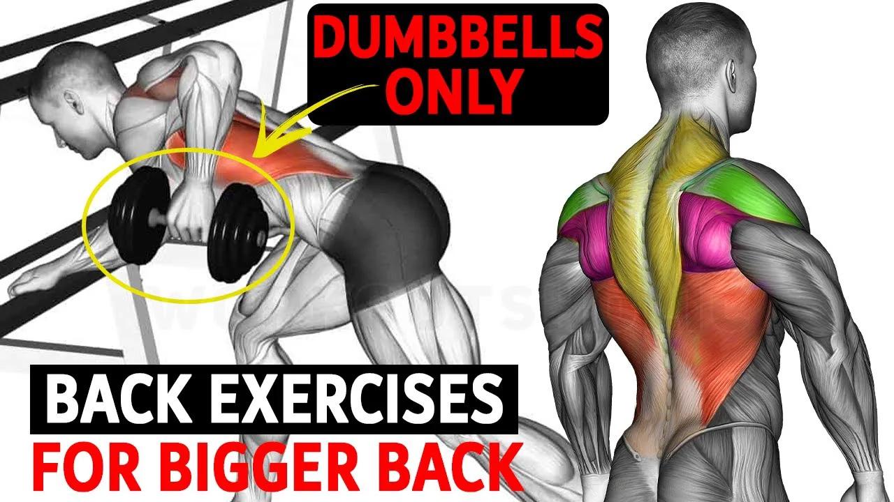 Dumbbell only Back Exercises , Get Bigger Back - Gym Workout Motivation