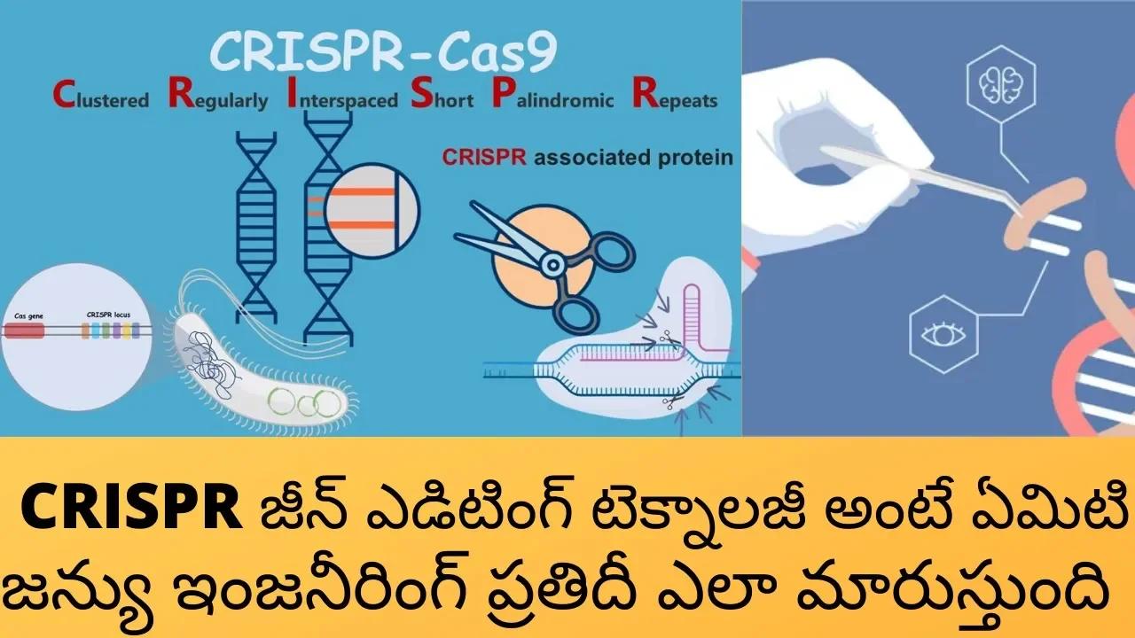 What is CRISPR Gene Editing Technology in Telugu | How Genetic ...