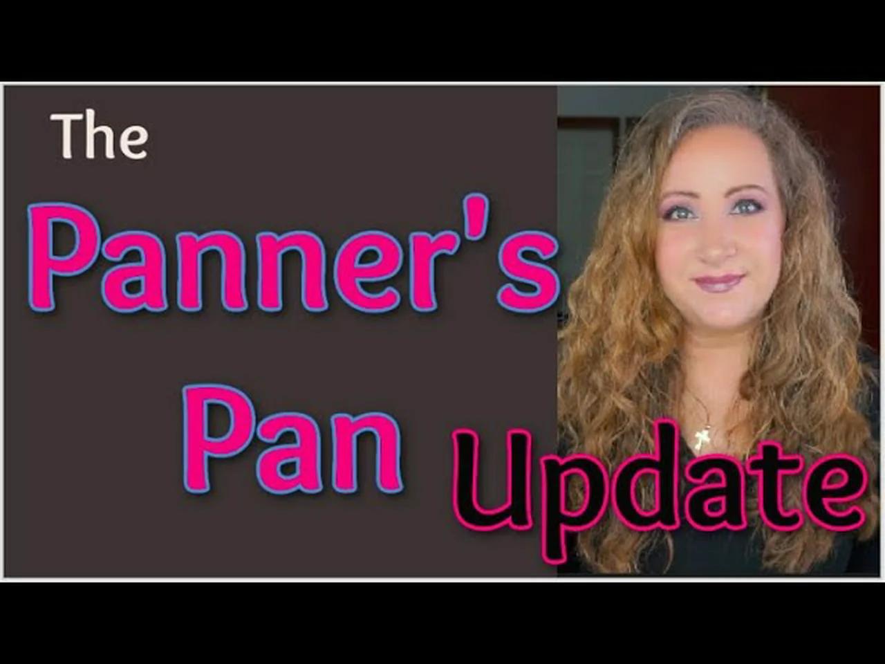 The Panners Pan Project Pan ~ Update 22 | Jessica Lee