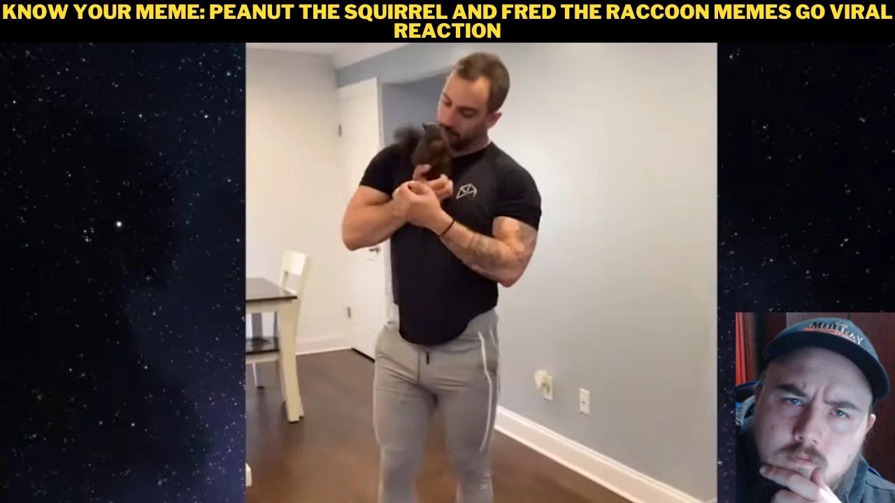 Know Your Meme: Peanut The Squirrel And Fred The Raccoon Memes Go Viral ...