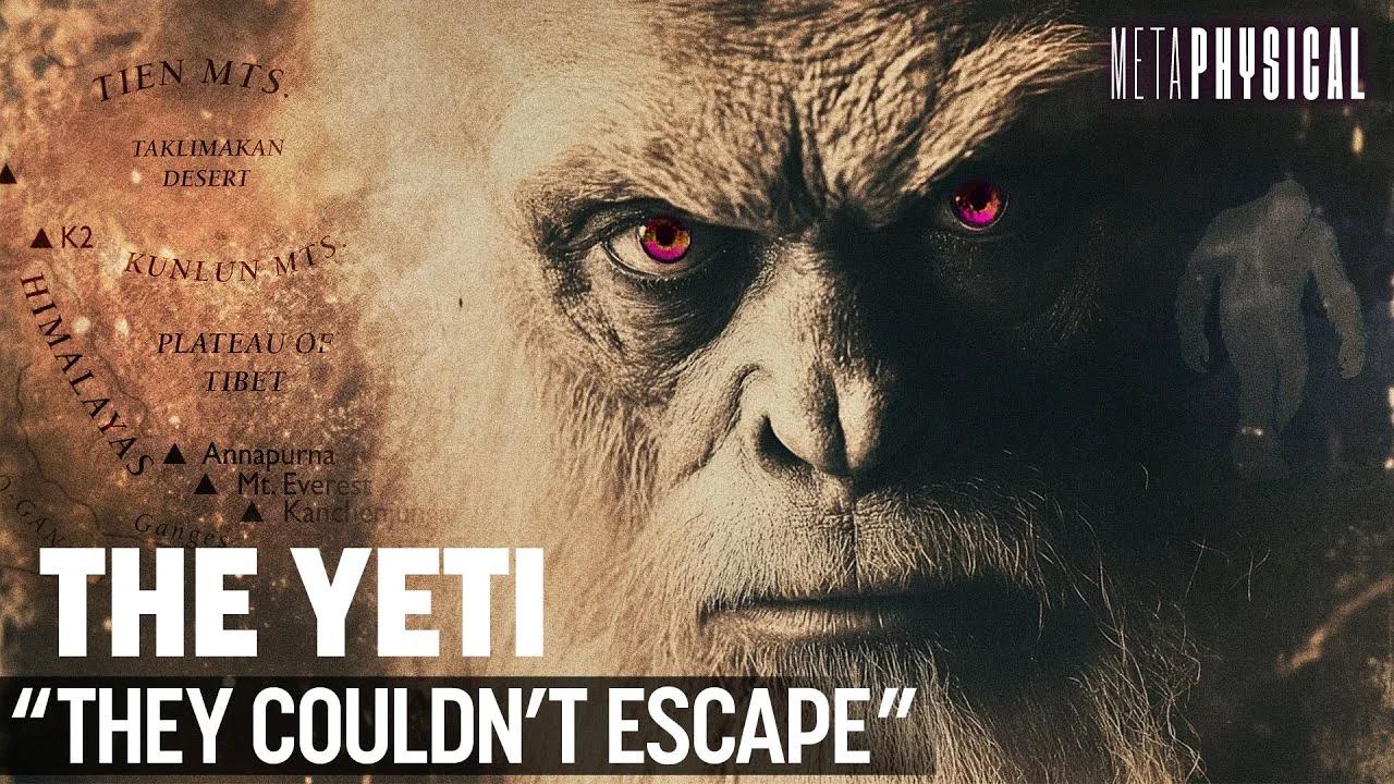 Best Yeti Sightings Ever Recorded
