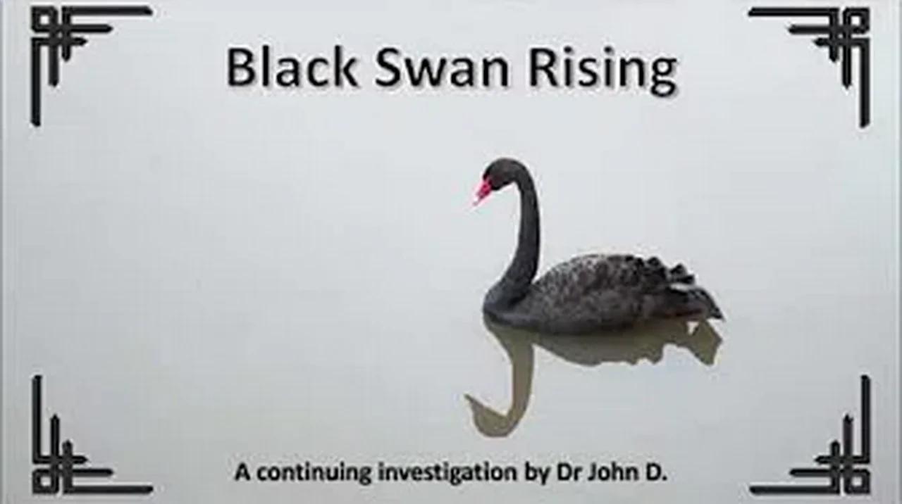 Black Swan RISING - observing the sea beyond the physical geometric ...