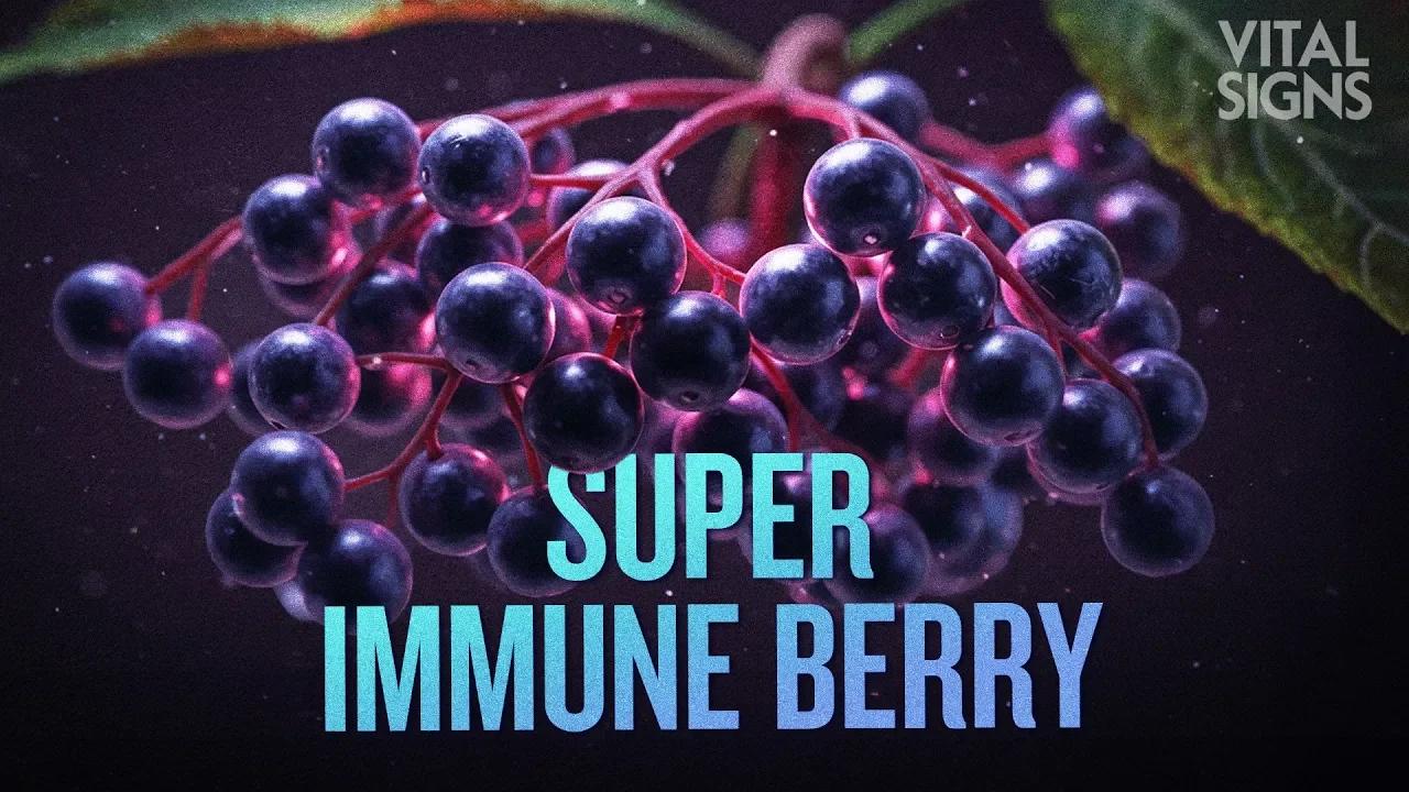 How to Use Elderberry to Relieve Colds, Flu, and Pain | Trailer | Vital ...