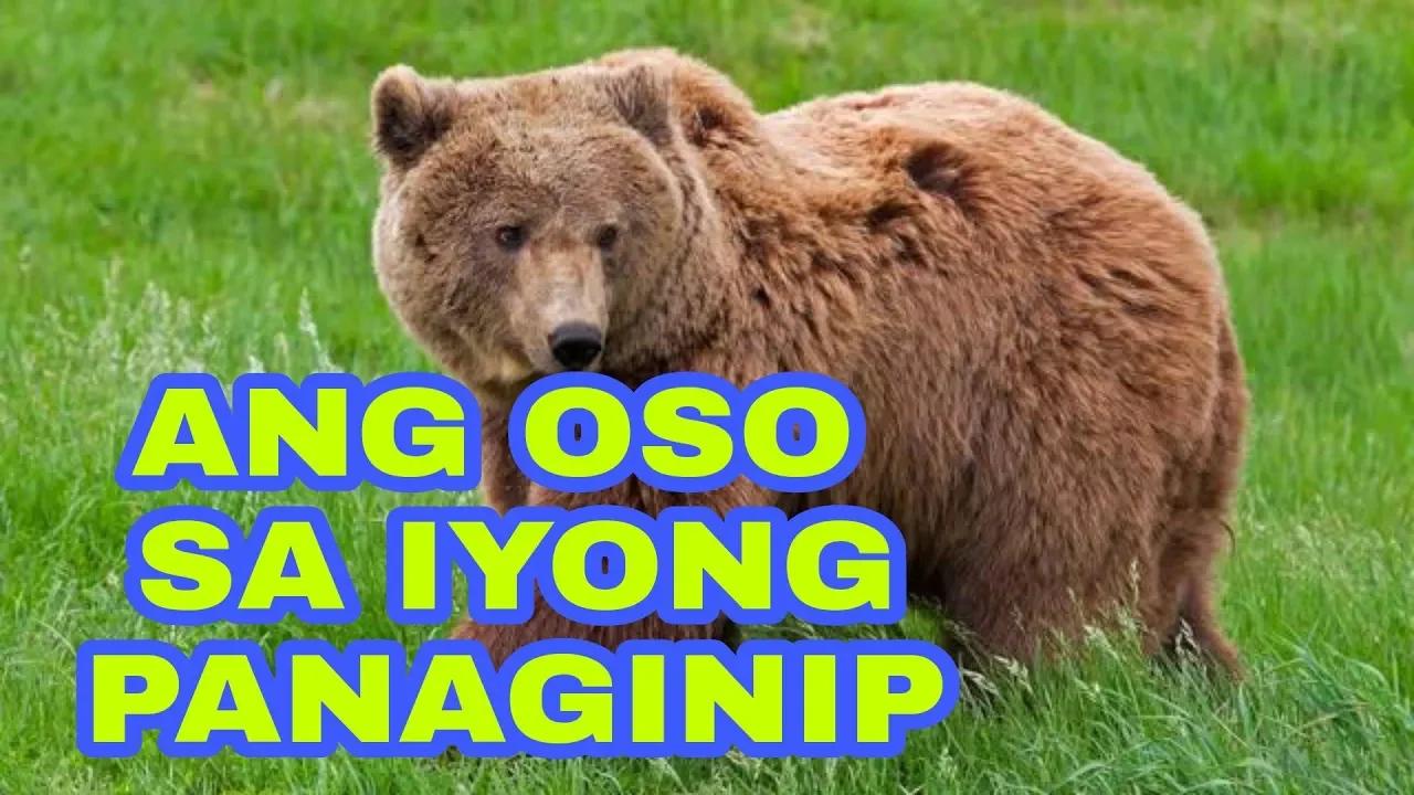 ANG OSO SA IYONG PANAGINIP AT KAHULUGAN NITO |DREAM INTERPRETATION ...