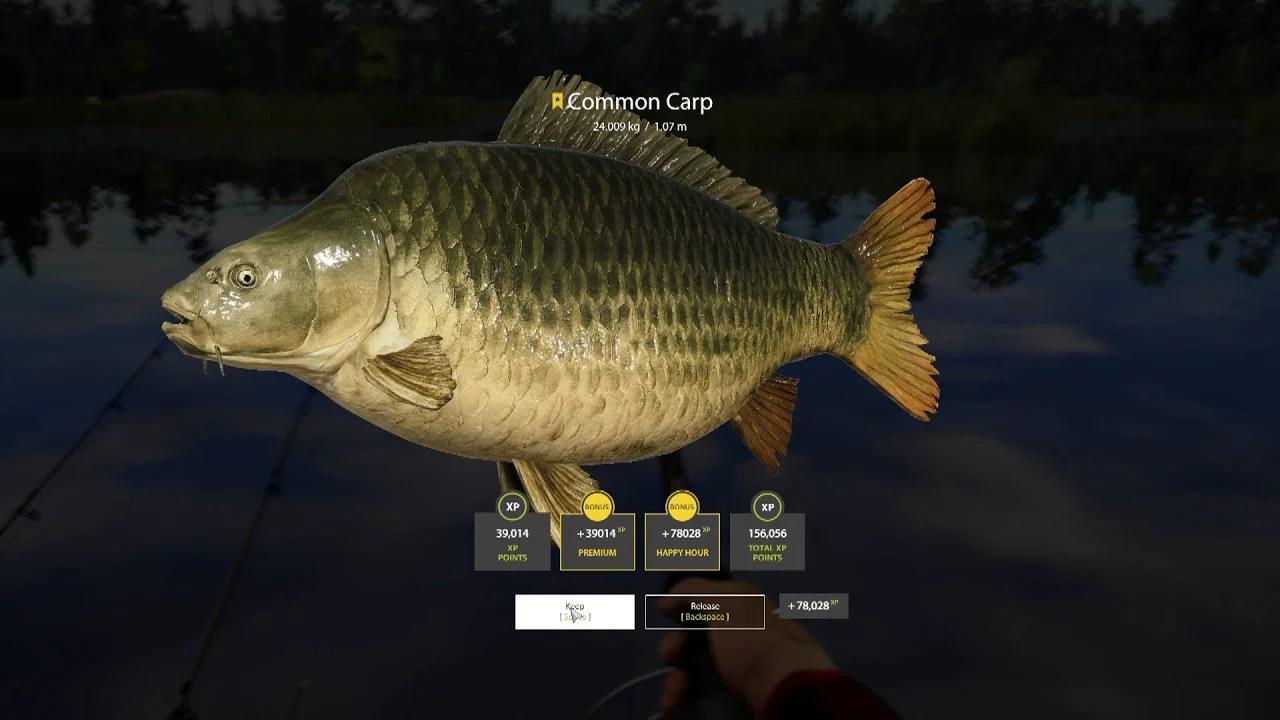 Russian Fishing 4 Trophy Common Carp 2020 1440p