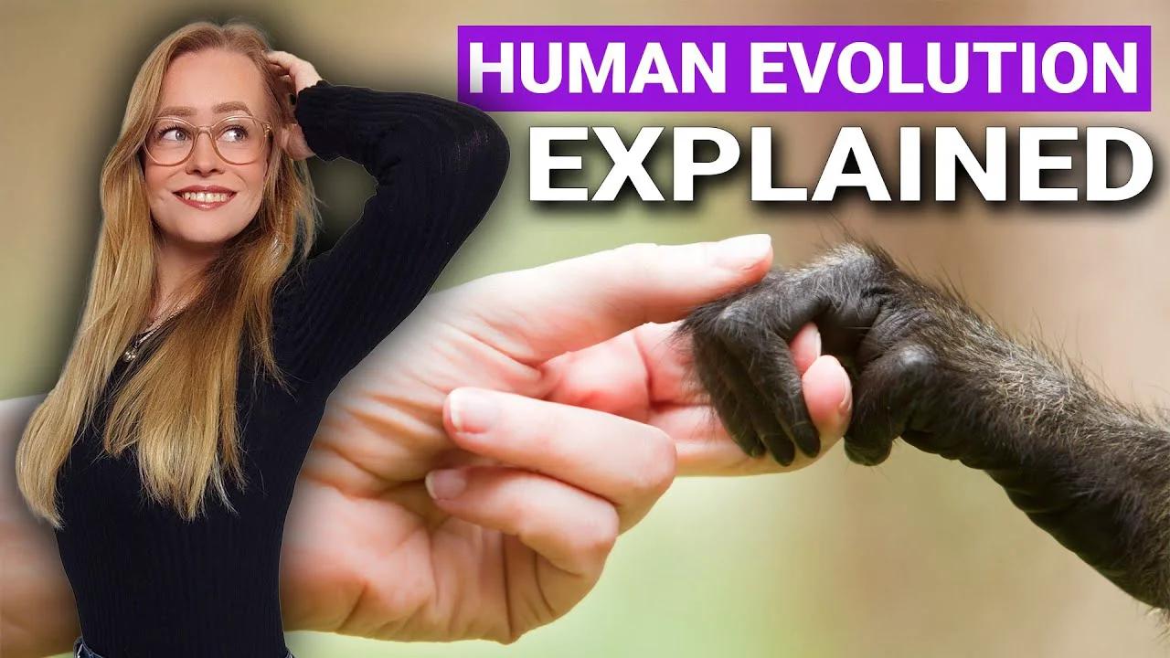 The Human Evolutionary Timeline Explained