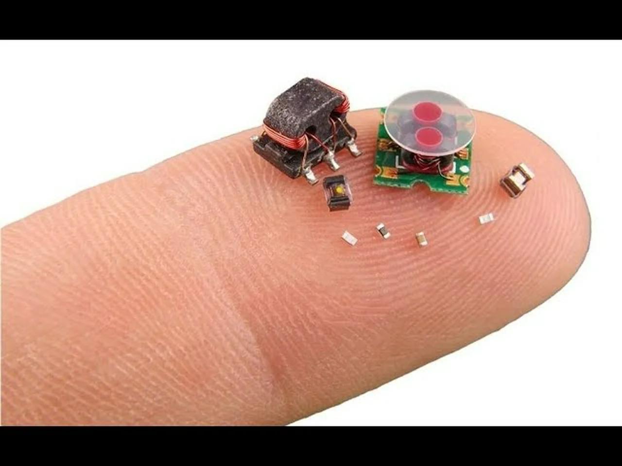 Microplastics & microbes are effectively eliminated by swarms of ...