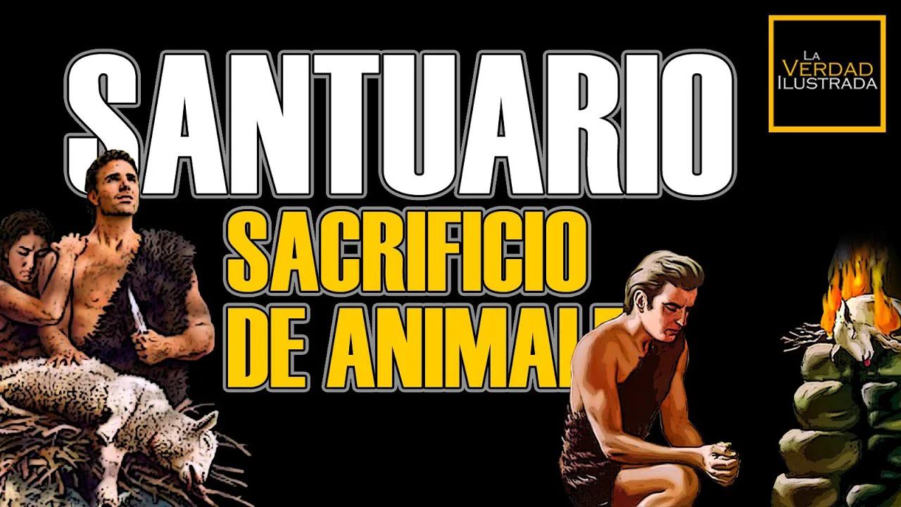 Sacrificio De Animales En El Antiguo Testamento Parte 1