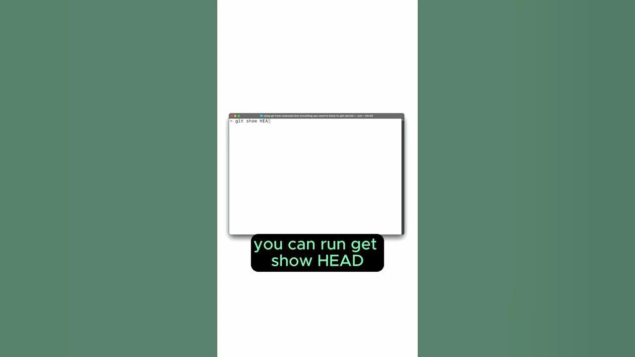 How To View The Contents Of The Commit Git Coding Gitclient Cli