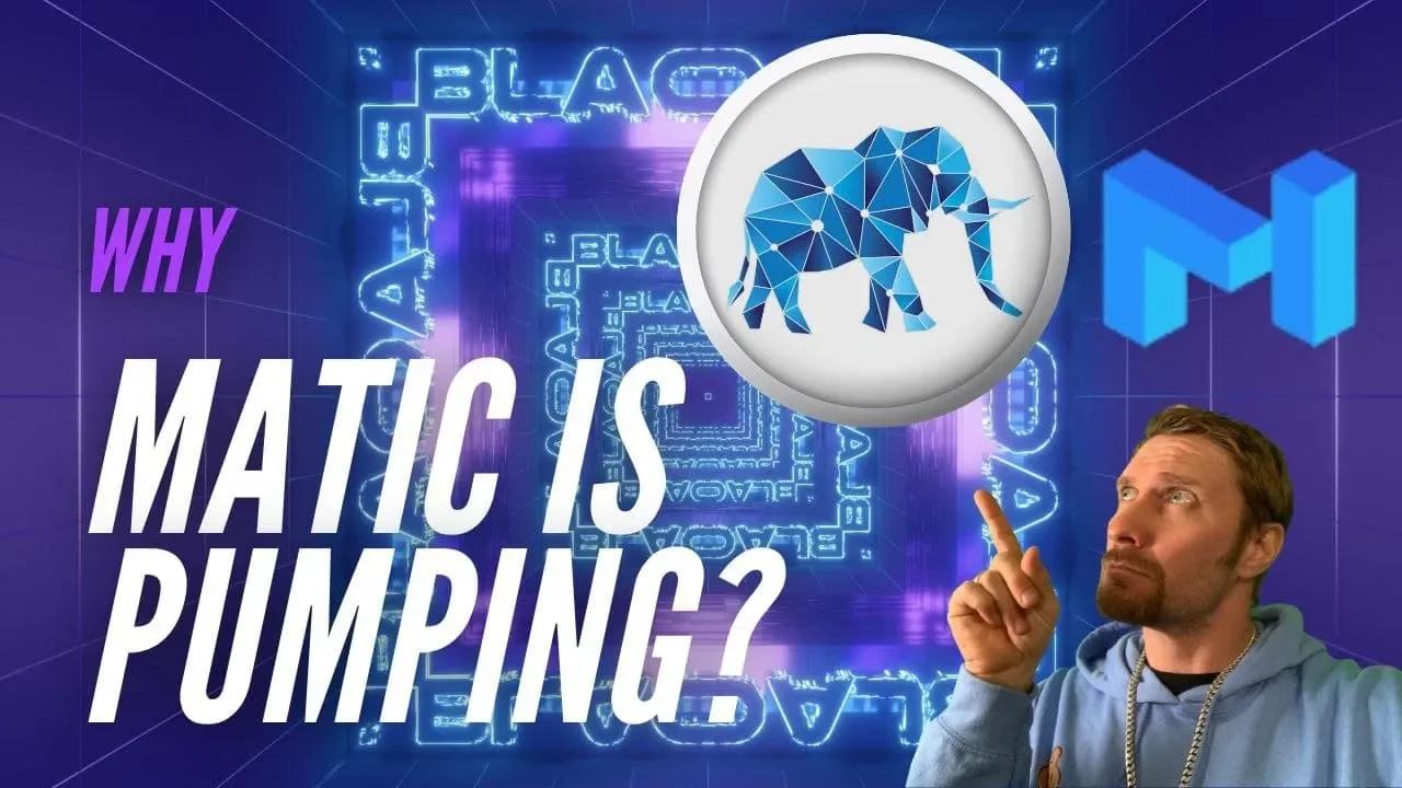 Polygon Matic Crypto here's what all the hype is about