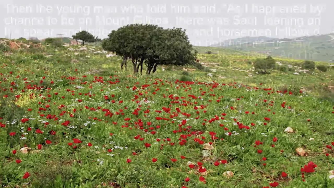 VICTORY IS HARD BUT POSSIBLE--LEARNING HOW TO FIGHT AGAINST SIN IN MY LIFE