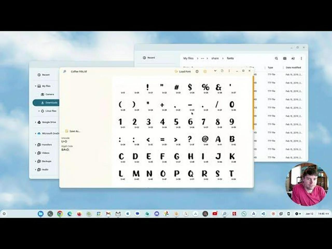 How To Install Custom Fonts For Linux Apps On Chrome Os