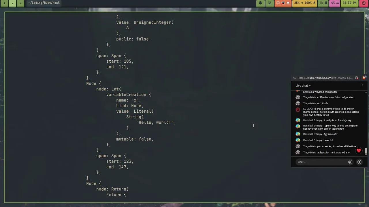 Working Some More On My Programming Language Not The Brainfuck One