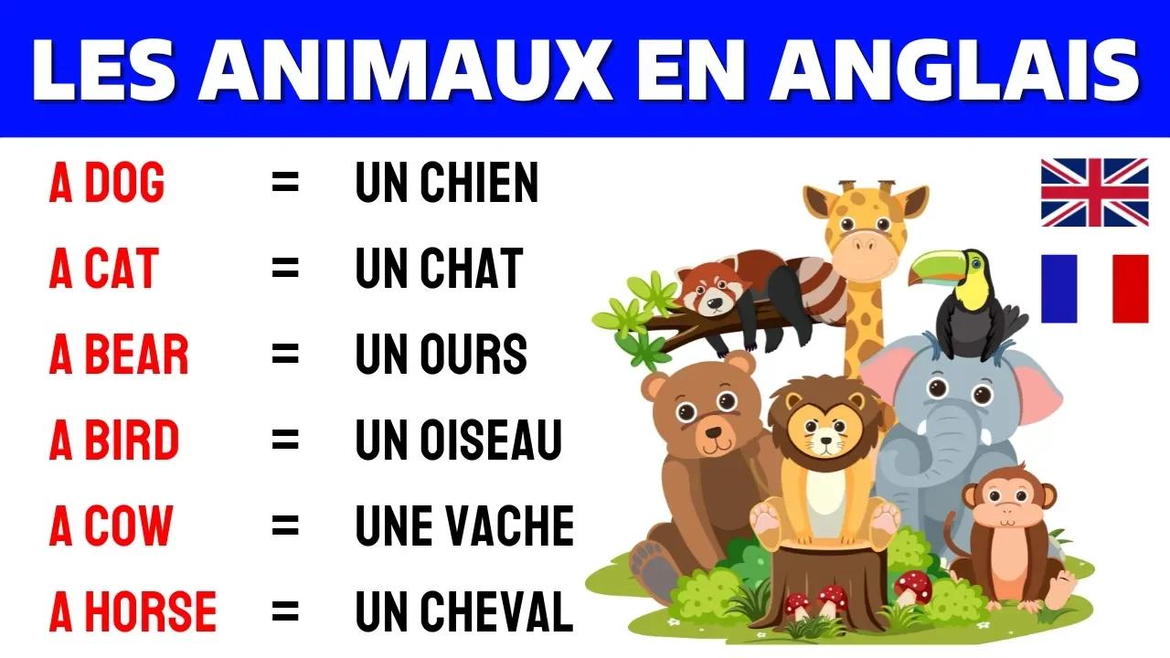 Lesson 1 Les animeaux en Anglais 📚 Animals in English