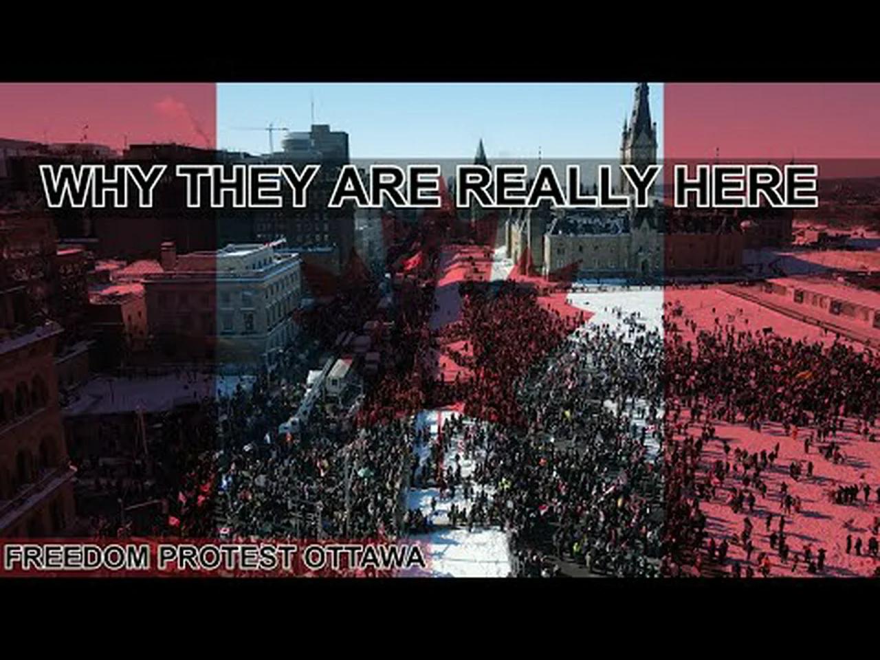 Freedom Protest Ottawa: Why average Canadians are now coming out