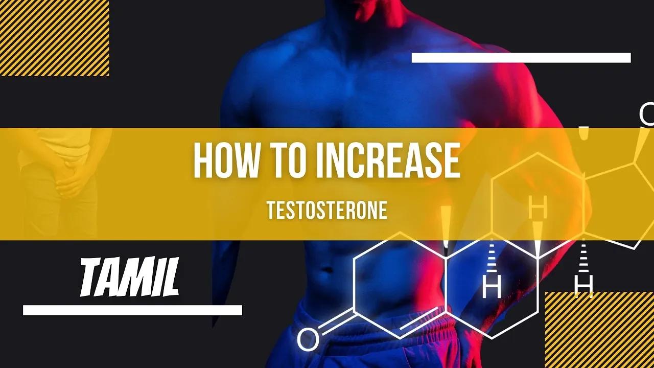 How To Increase Testosterone Naturally! | TAMIL